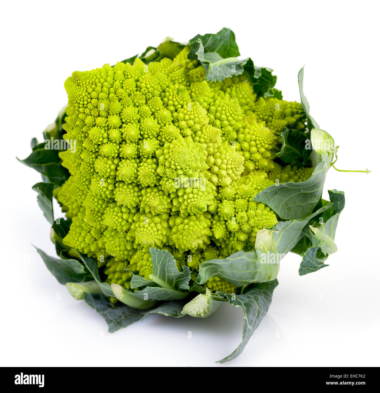 Roman Cabbage Isolated Stock Photo - Alamy