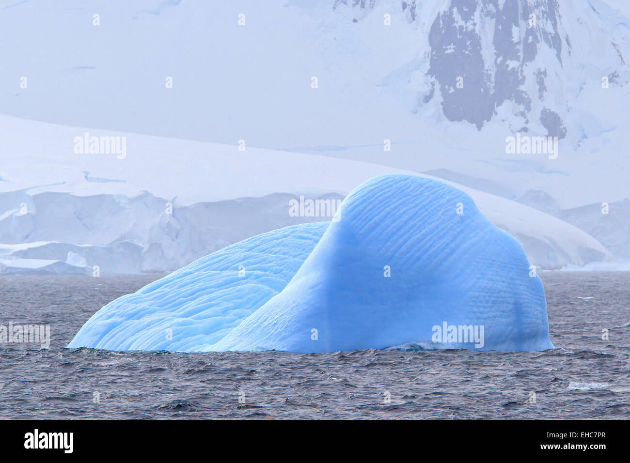 Antarctica blue iceberg, ice berg, floats in Antarctica landscape of ...