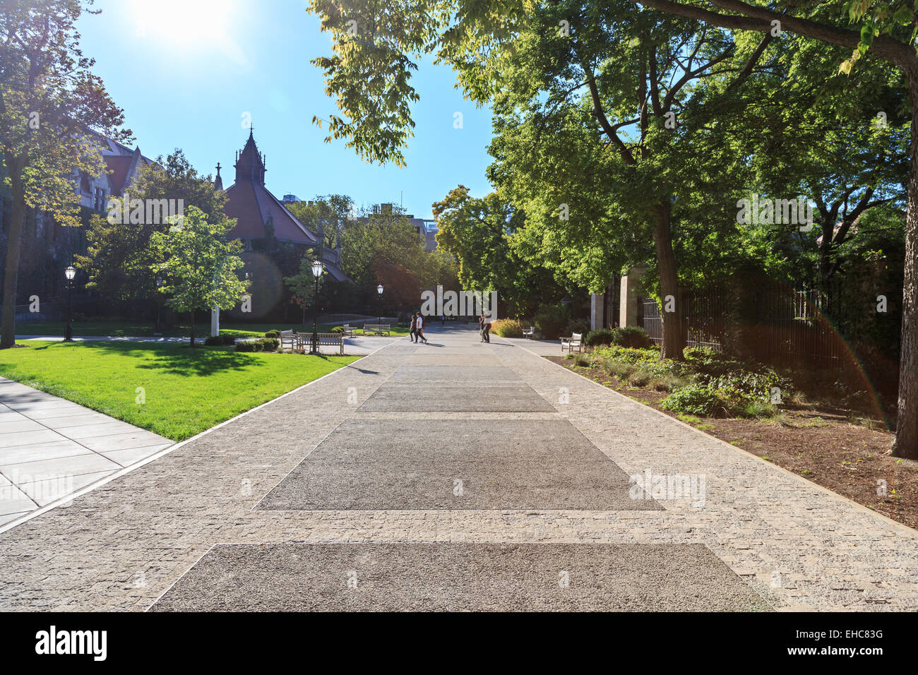 Campus of the University of Chicago in the Hyde Park area of Chicago ...