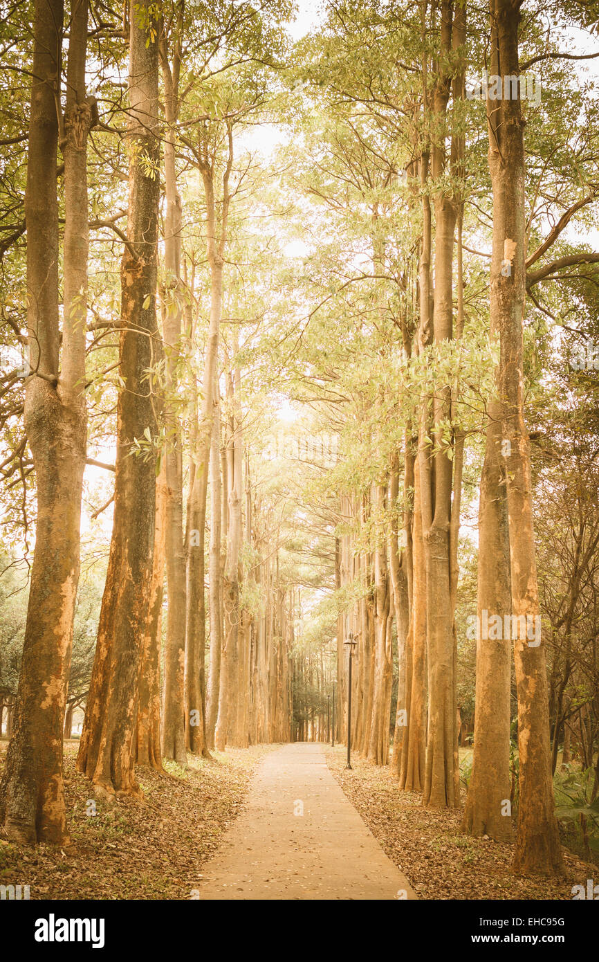 Vintage park lane hi-res stock photography and images - Alamy