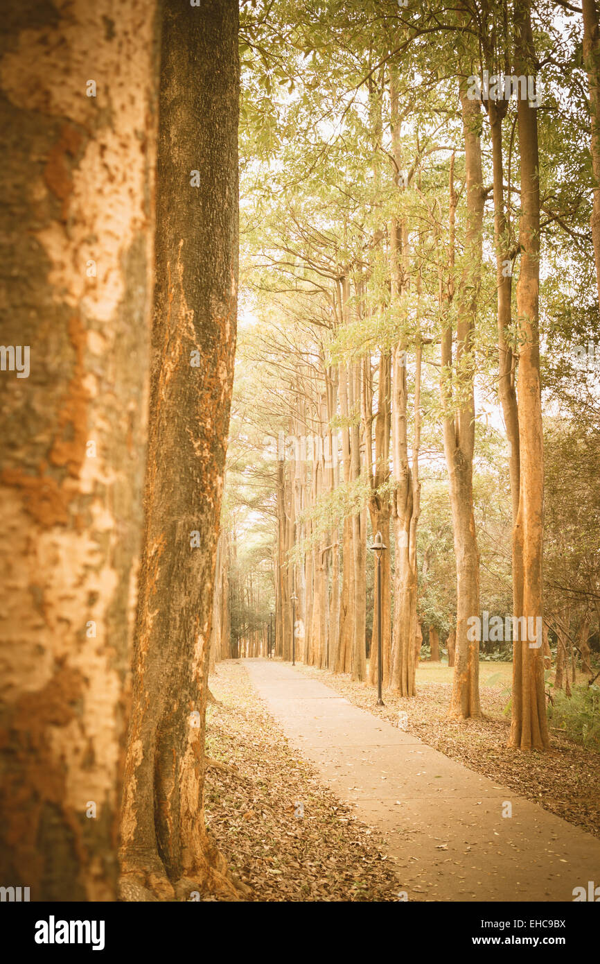 Vintage park path hi-res stock photography and images - Alamy