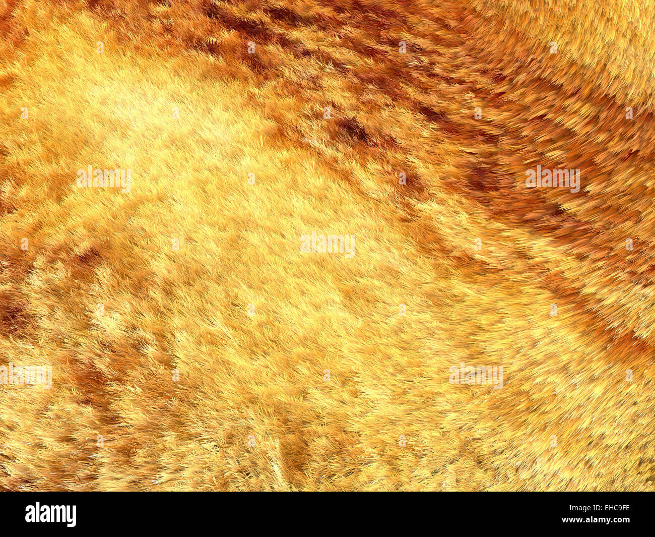 Yellow and brown fox fur pattern or background. Useful for fashion ...