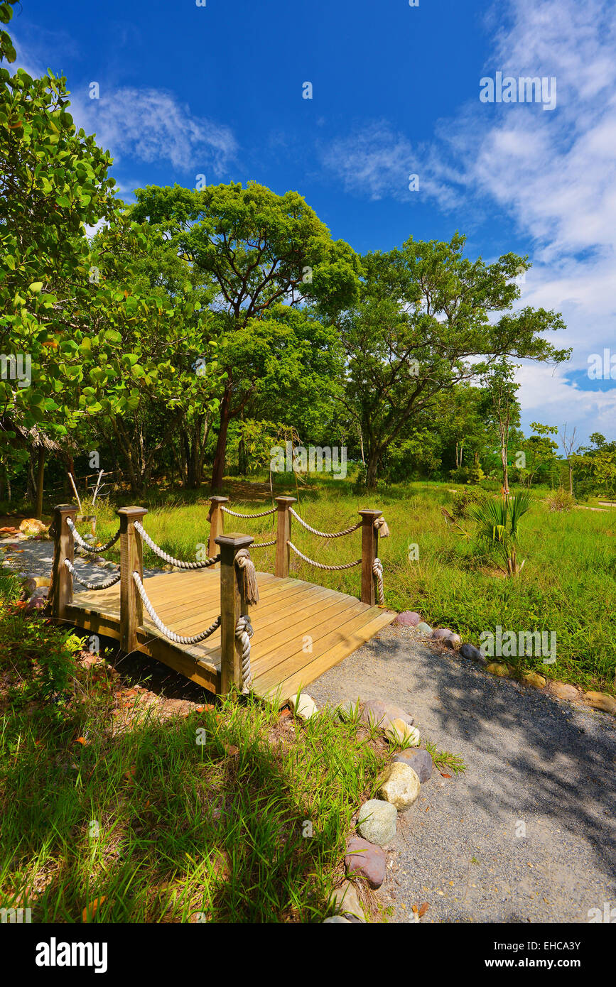Footbridge over stream architecture hi-res stock photography and images ...