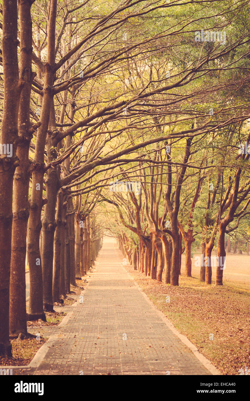 path in the park vintage retro Stock Photo - Alamy