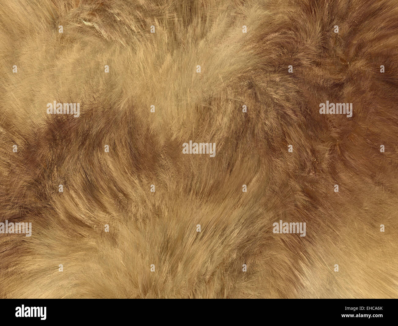 Large fox hi-res stock photography and images - Alamy