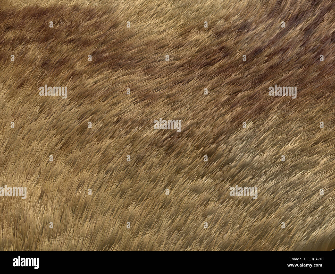 Red fox fur fashion hi-res stock photography and images - Alamy