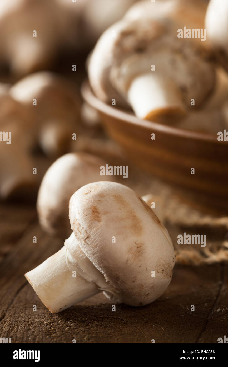 Diet and fungi cooking hi-res stock photography and images - Alamy