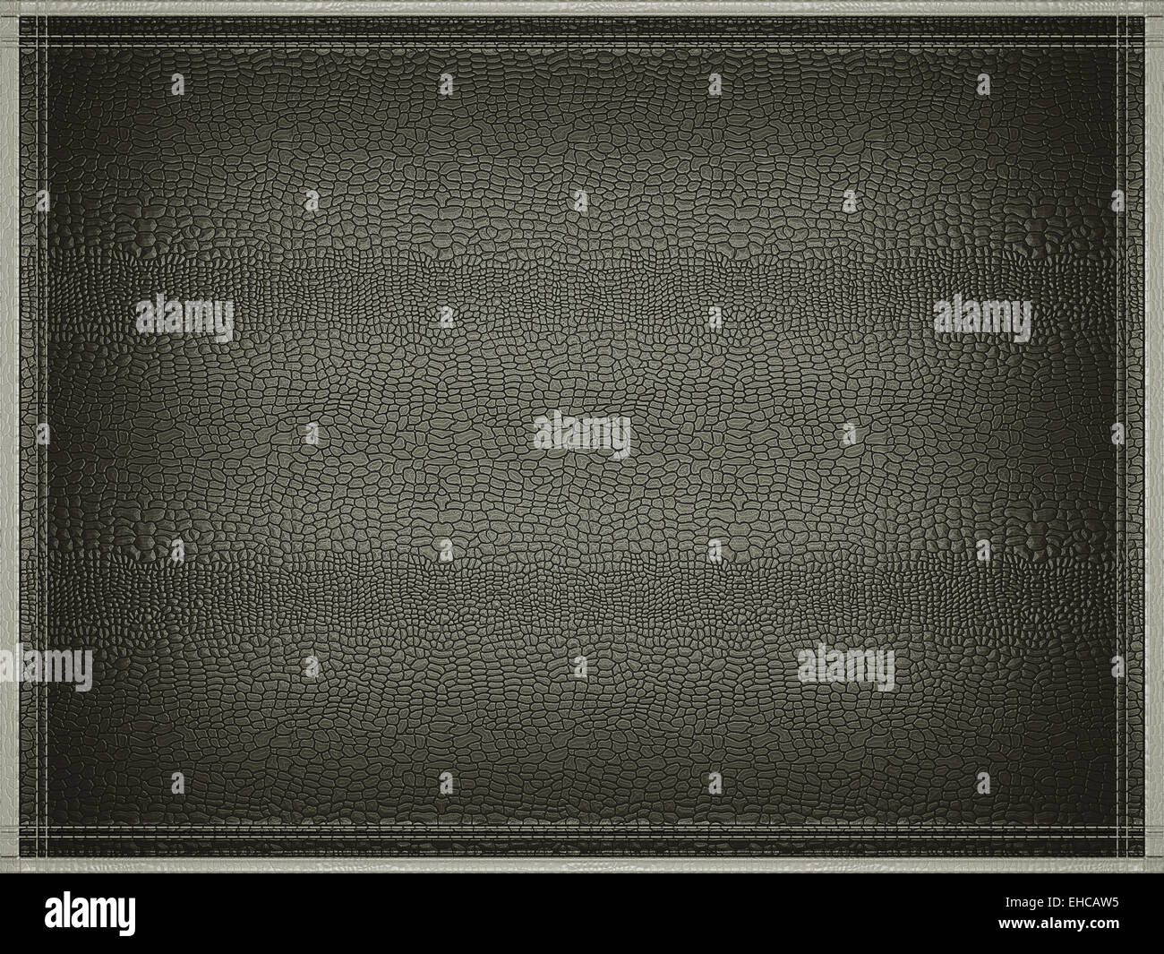 Mock Croc High Resolution Stock Photography and Images - Alamy