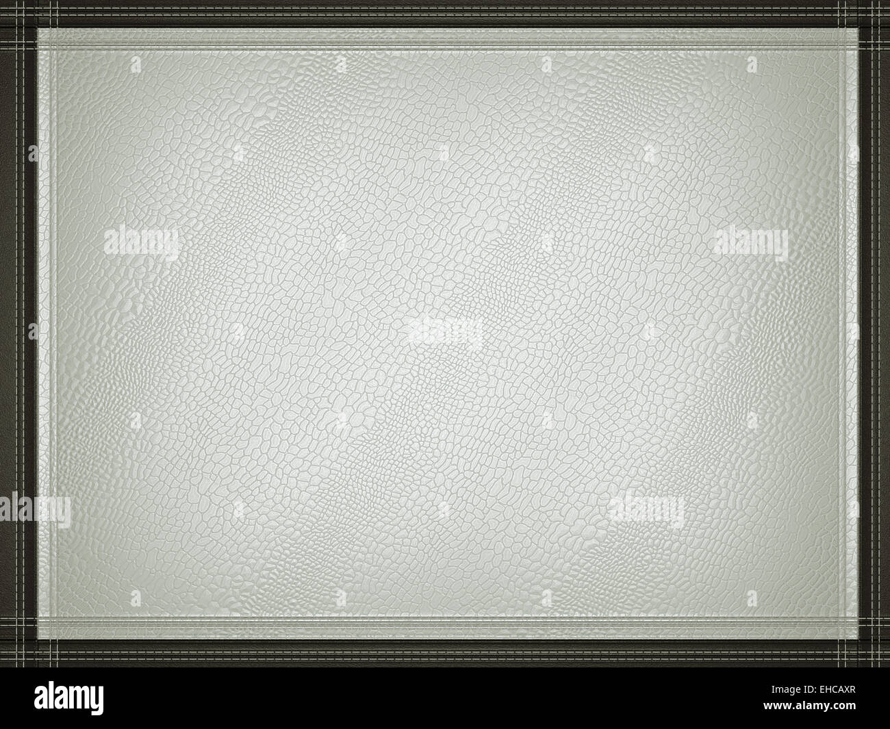Stylish croc hi-res stock photography and images - Alamy