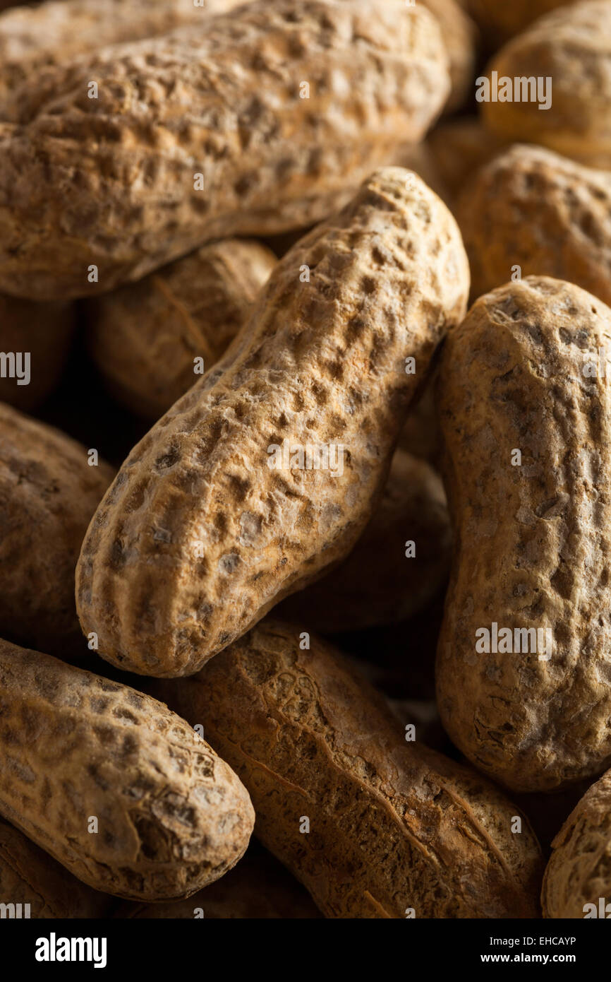 Salted Roasted Shelled Peanuts Ready to Eat Stock Photo - Alamy