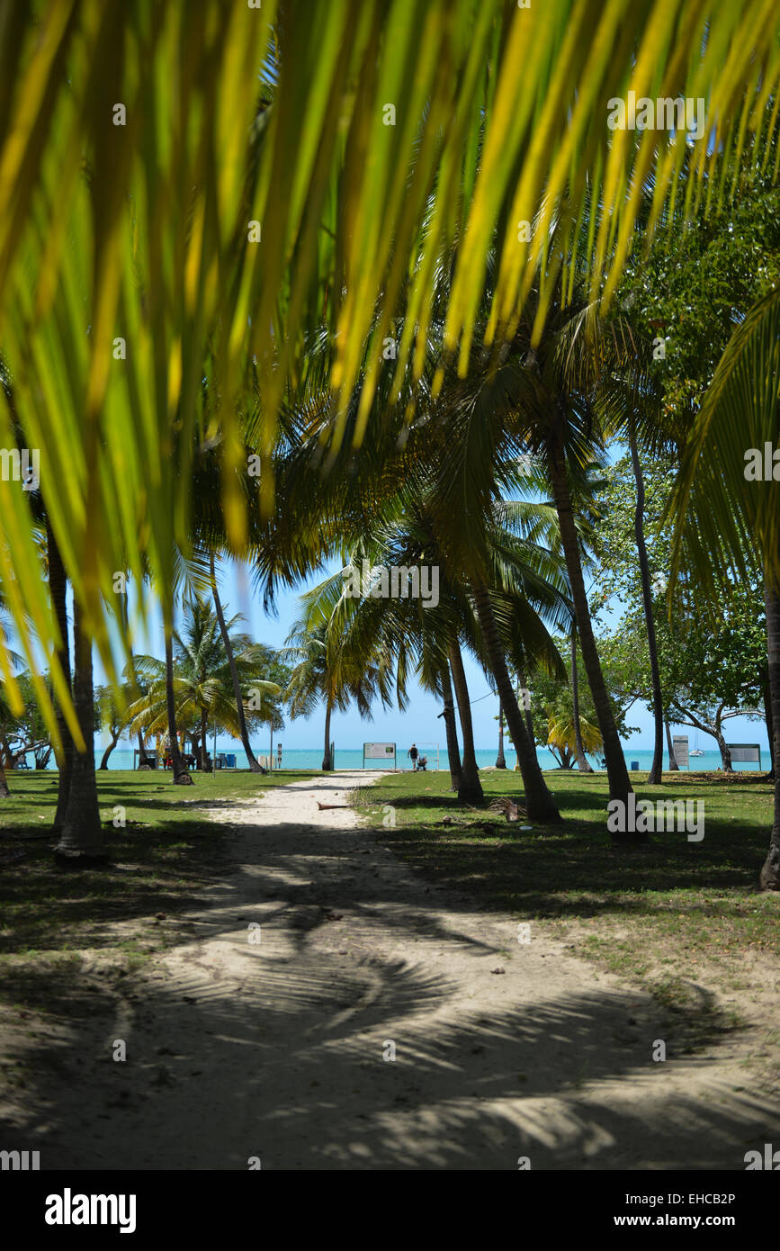 Blue ocean at the end of a pathway at Boqueron Beach. Cabo Rojo, Puerto ...