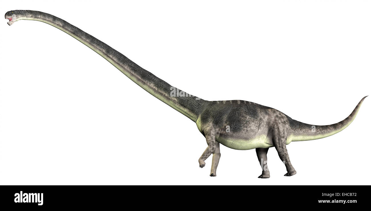 Omeisaurus dinosaur hi-res stock photography and images - Alamy