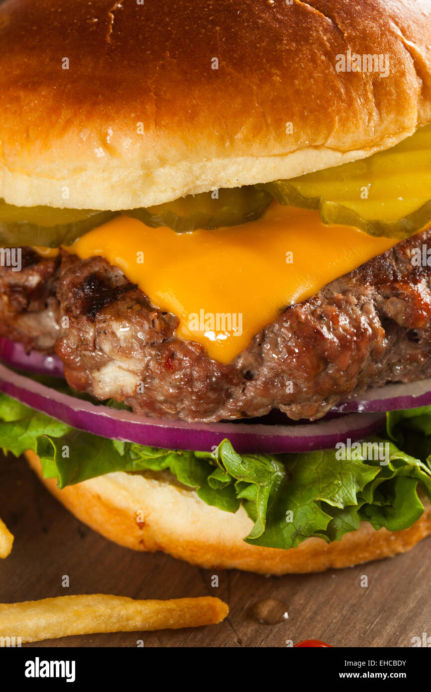 Bison meat hi-res stock photography and images - Alamy