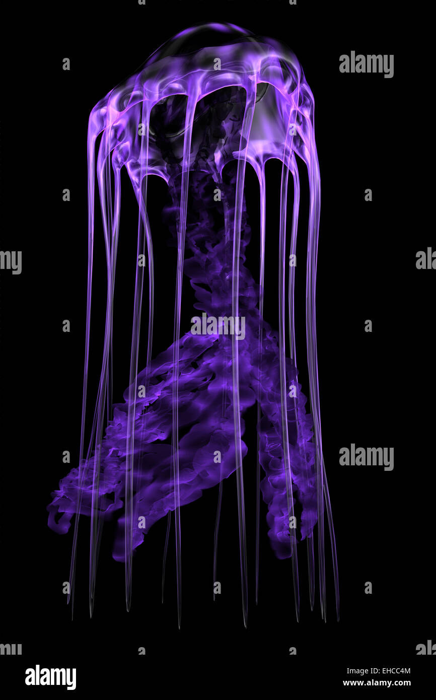 The jellyfish is a predator of the seas which stings its prey with ...