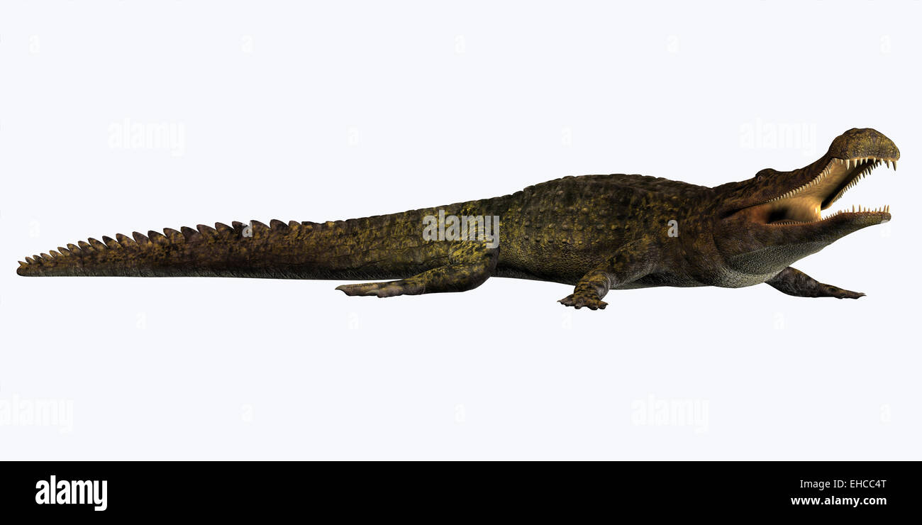 Sarcosuchus hi-res stock photography and images - Alamy