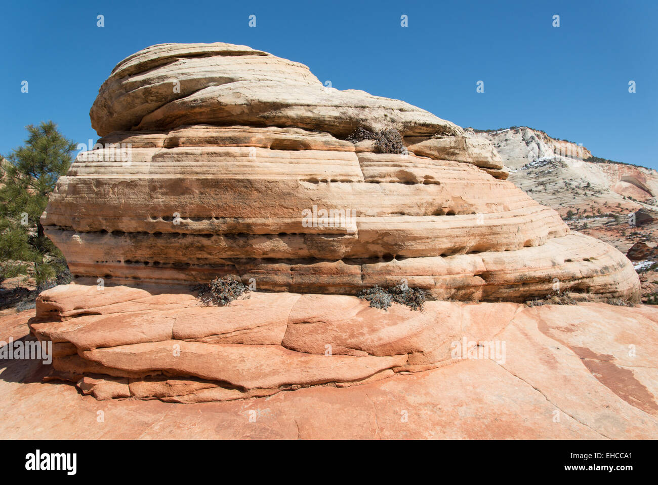 Red rock, Zion National Park, Utah Stock Photo - Alamy