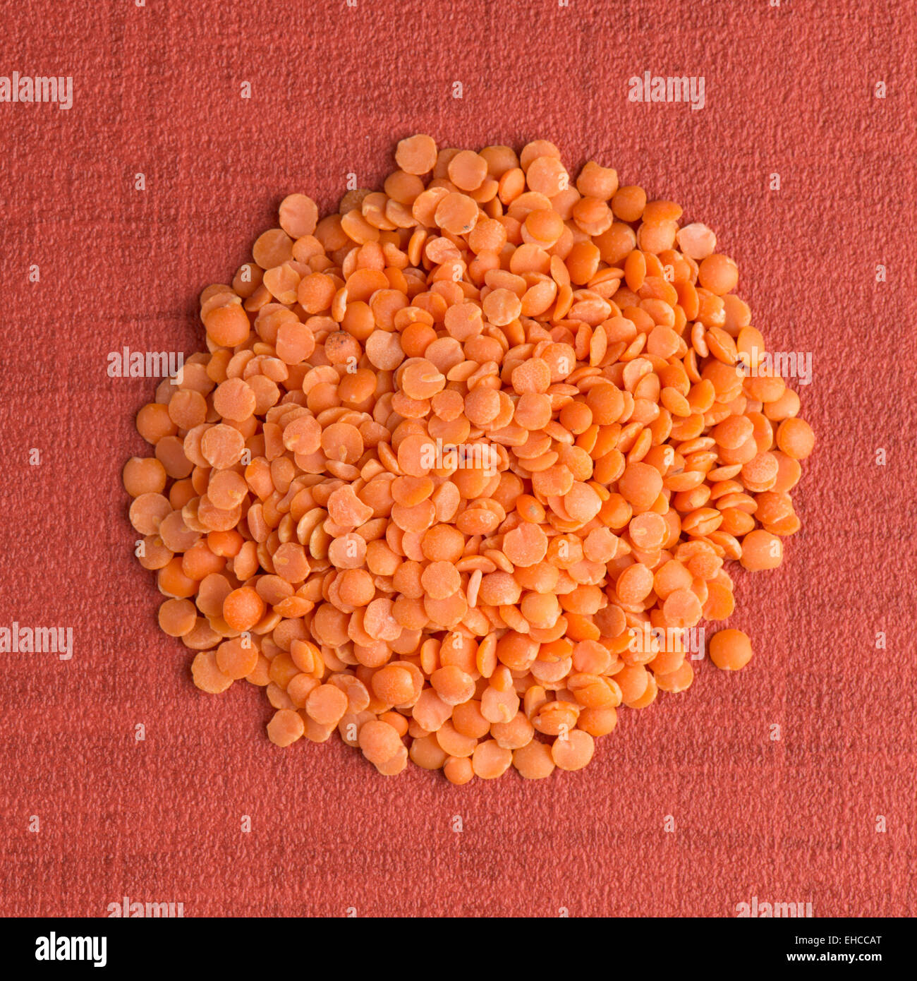 Top view of circle of peeled lentils against red vinyl background Stock ...