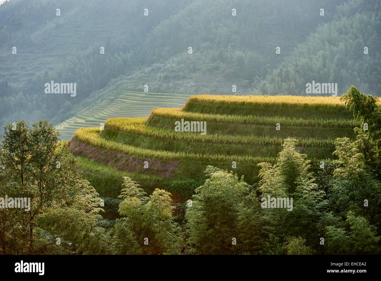 Hunan china hi-res stock photography and images - Alamy
