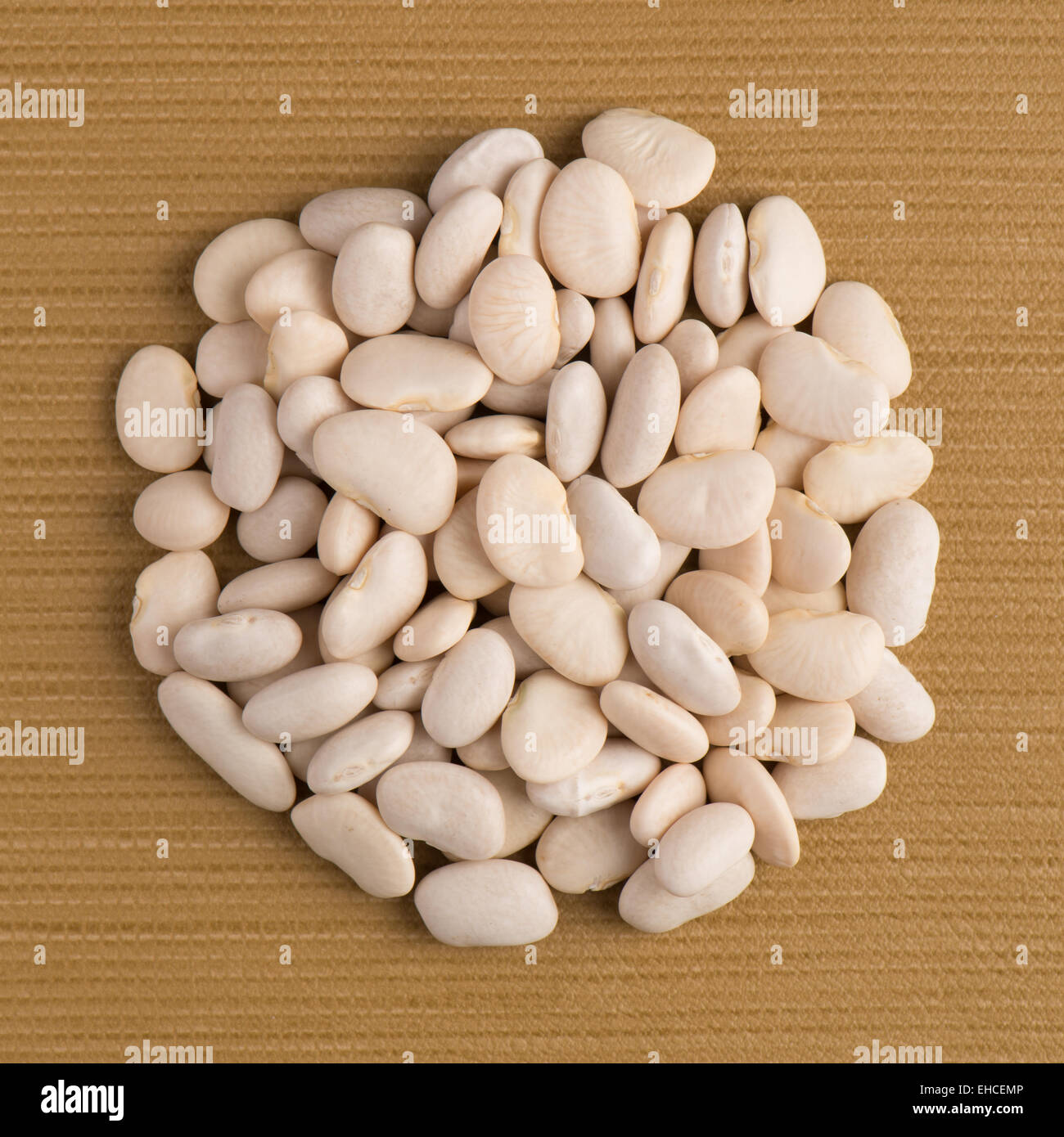 Top view of circle of white beans against brown vinyl background Stock ...
