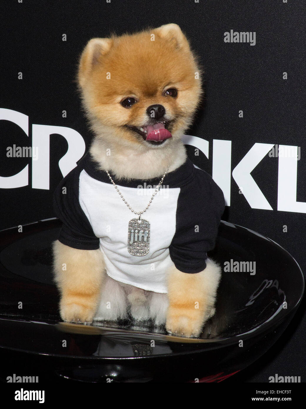 Los Angeles, California, USA. 11th Mar, 2015. Jiff Pom attends ''Dead ...