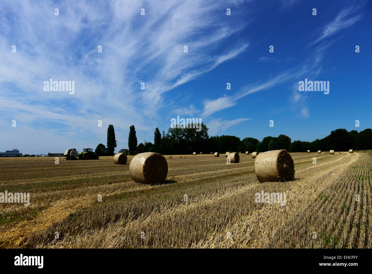 Hay fields hi-res stock photography and images - Alamy