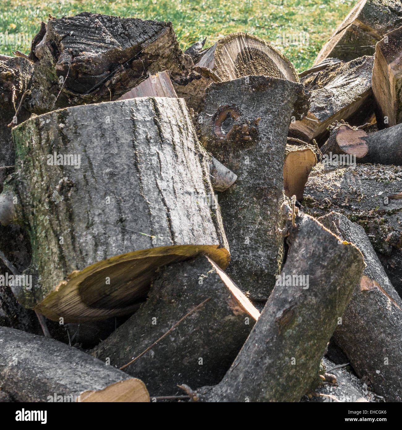 Trunk of tree torn to pieces with an ax Stock Photo - Alamy
