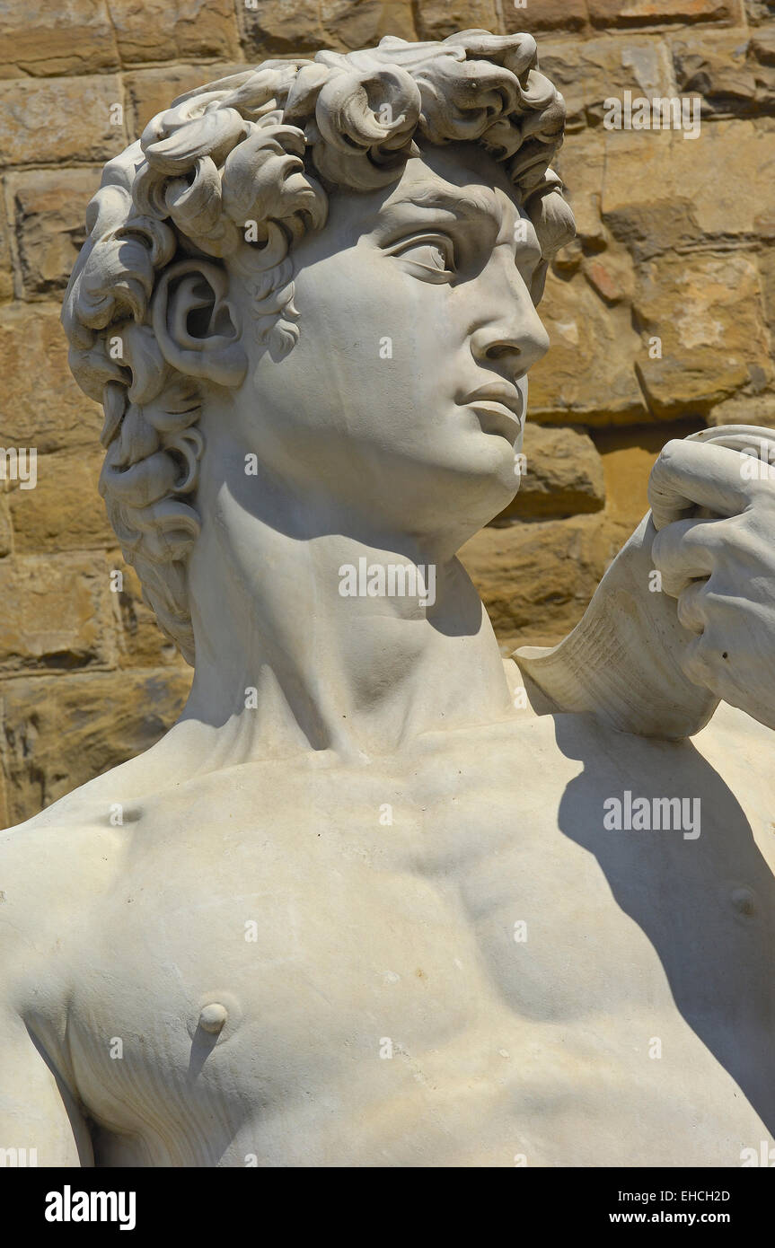 Florence, Statue of David by Michelangelo, La Signoria square, Piazza ...