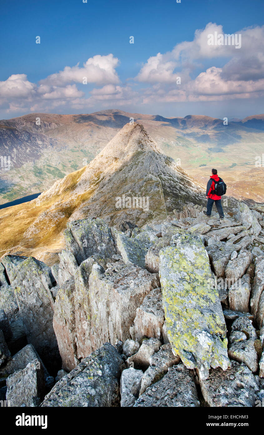 Walker Overlooking Tryfan & The Ogwen Valley from Bristly Ridge ...