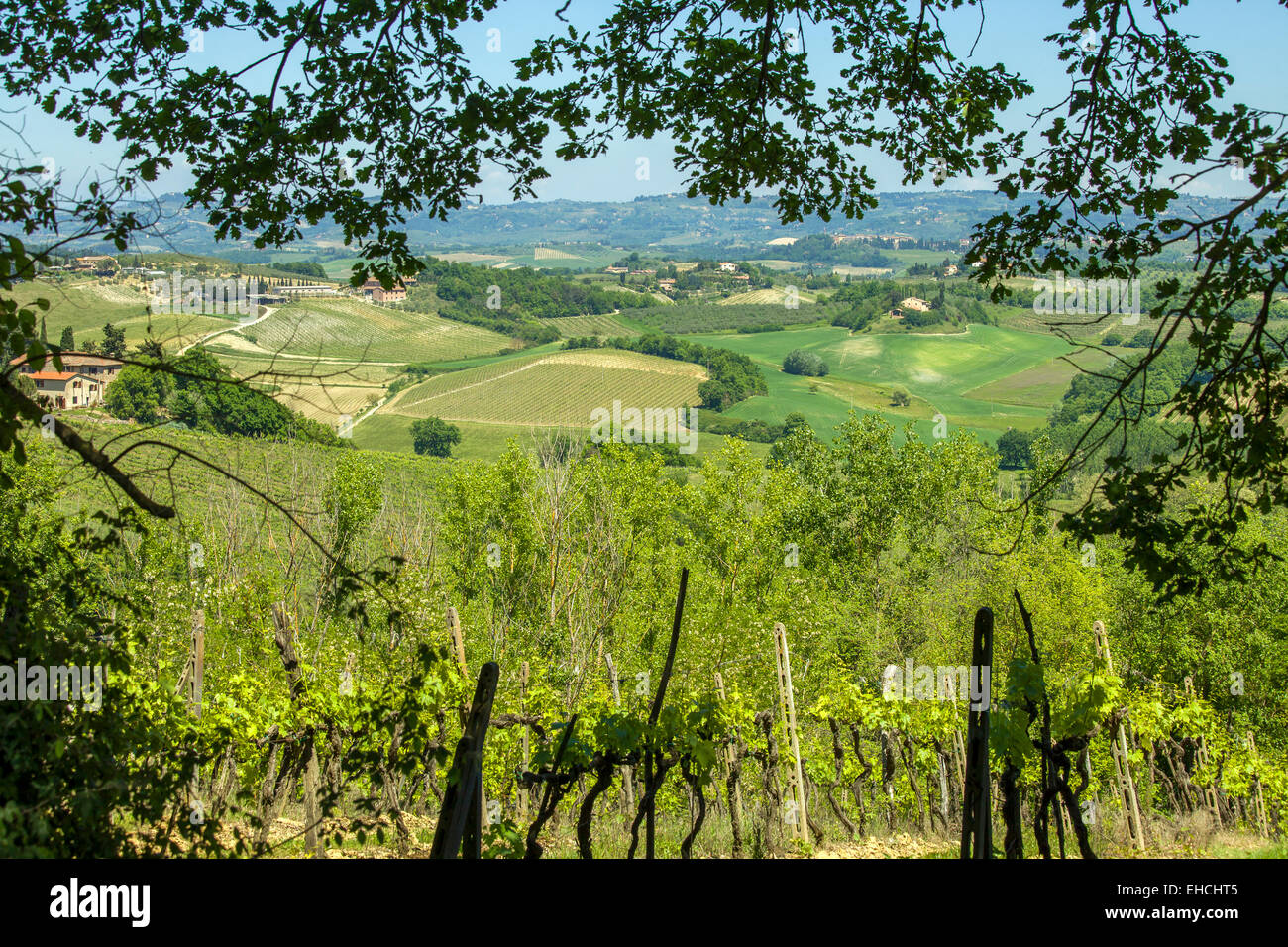 Chianti vineyard landscape in Tuscany, Italy Stock Photo - Alamy