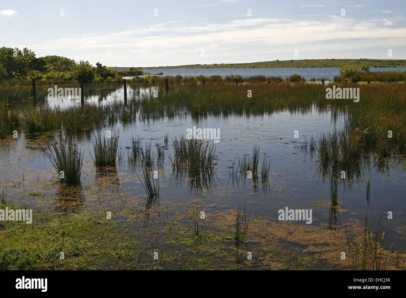 Colliford lake hi-res stock photography and images - Alamy