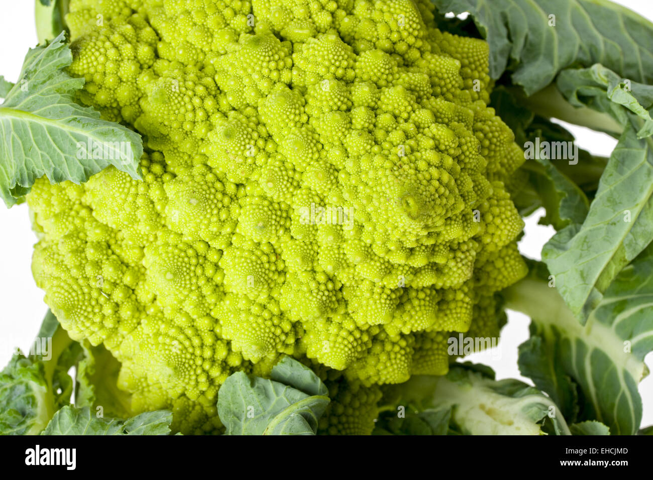 single romanesco vegetable isolated on white Stock Photo - Alamy