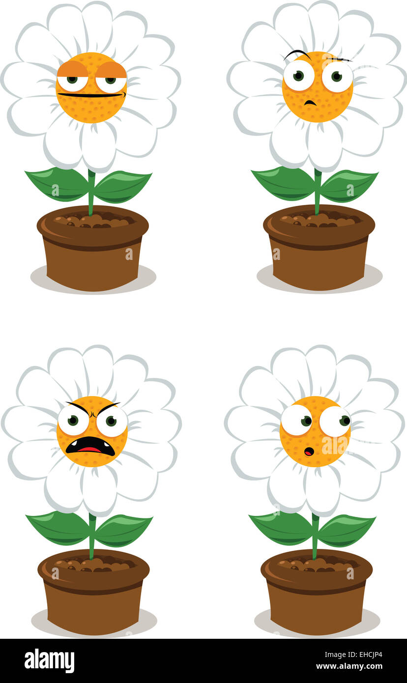 Daisy flower funny hi-res stock photography and images - Alamy