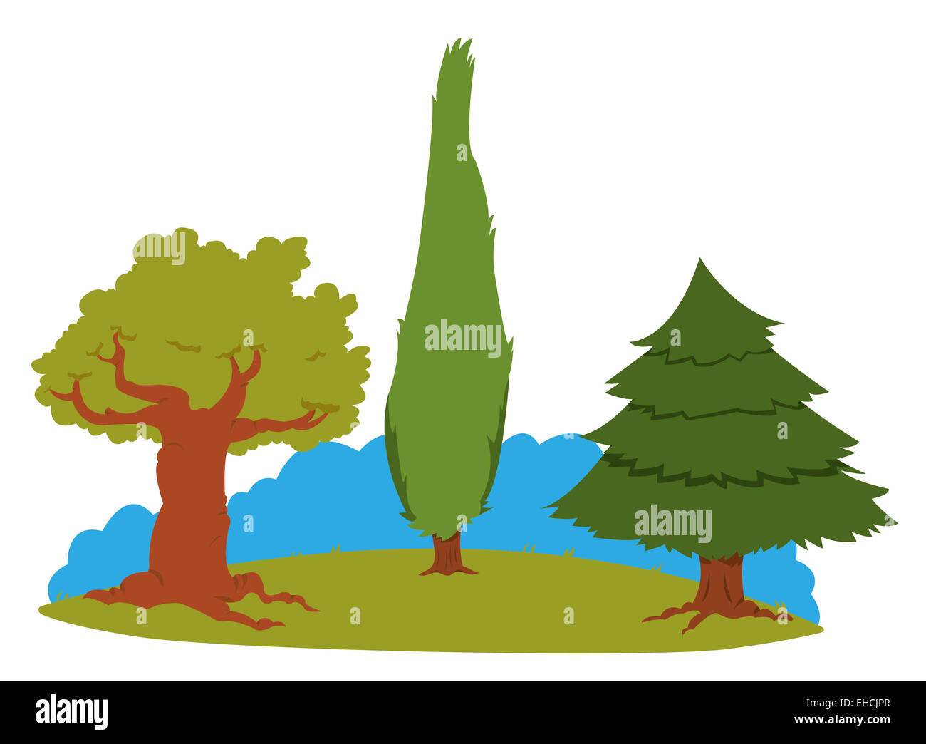 a group of different kind of trees Stock Photo - Alamy