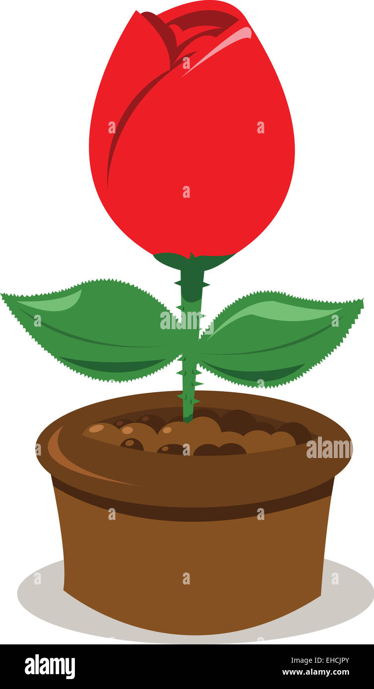 Rose cartoon hi-res stock photography and images - Alamy