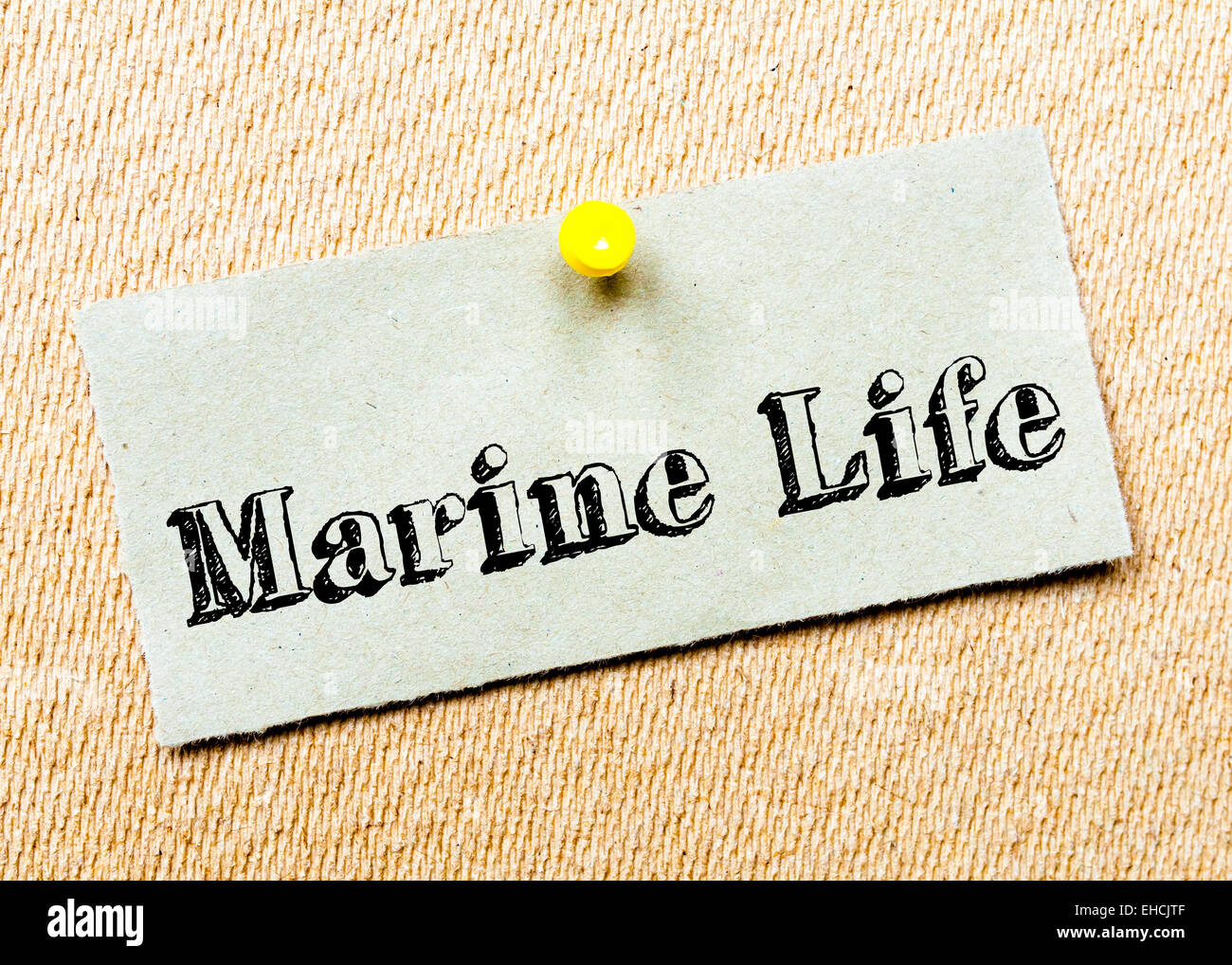 Recycled paper note pinned on cork board. Marine Life Message. Concept ...