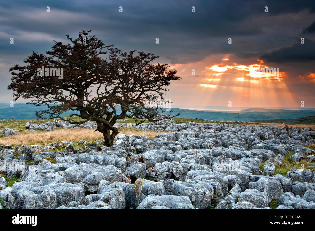 Yorkshire limestone pavement hi-res stock photography and images - Alamy