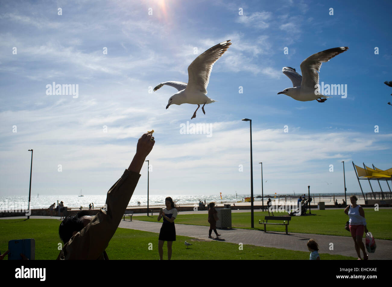 Adelaide Australia. 12th March 2015. Uncrowded beaches that are ...