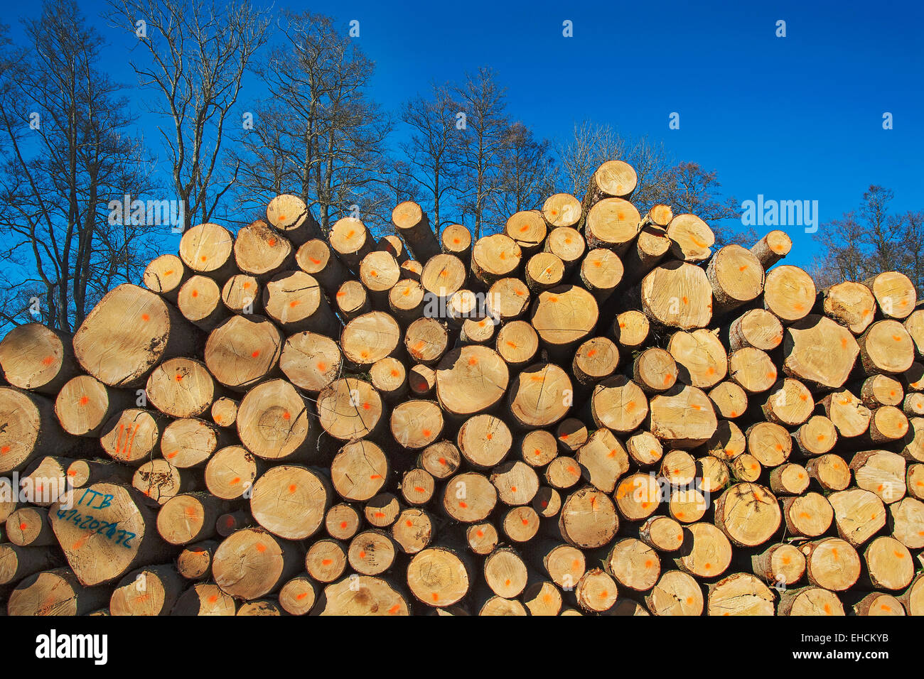 Pile tree logs stacked hi-res stock photography and images - Alamy