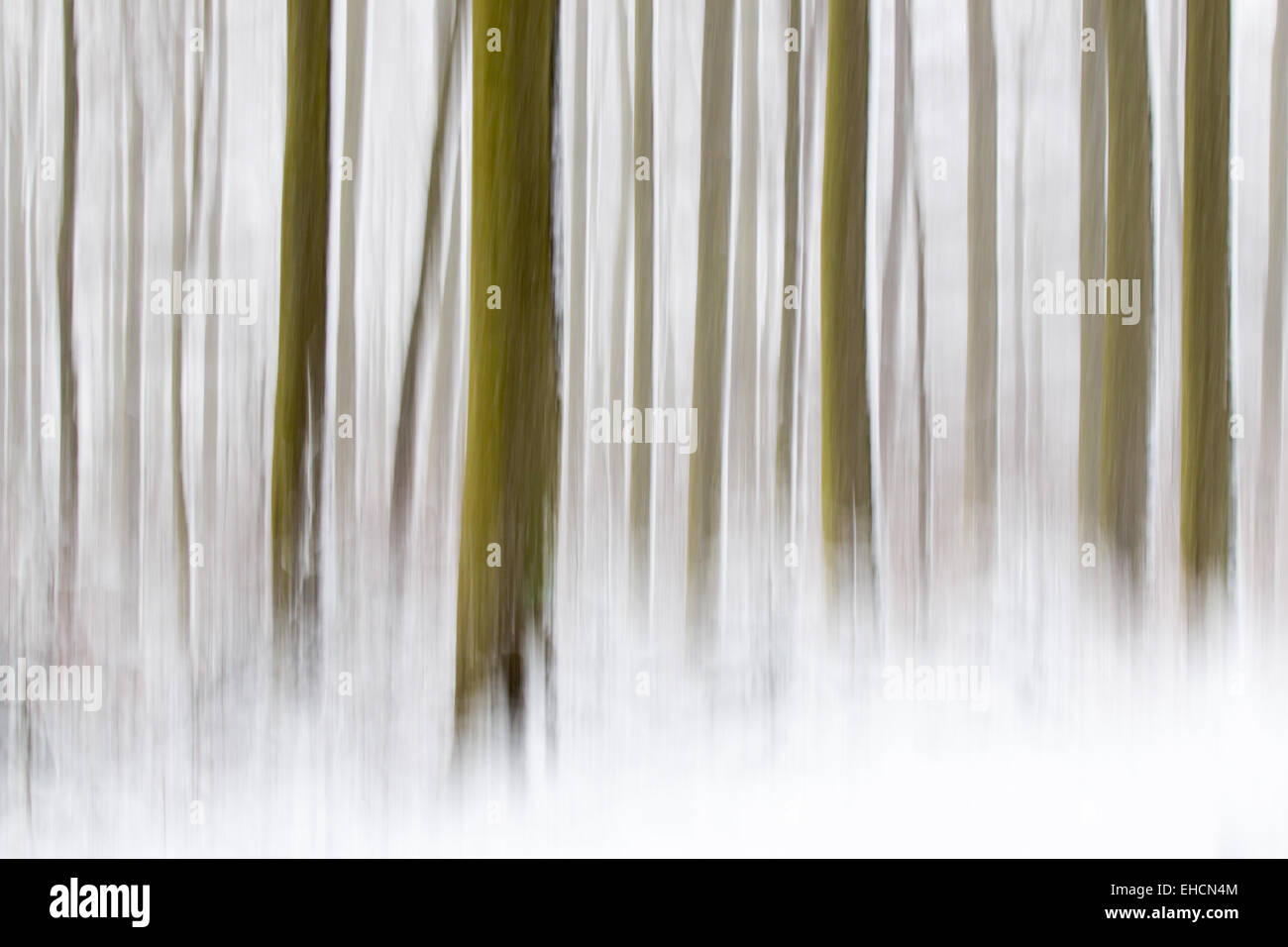 Abstract tree view hi-res stock photography and images - Alamy