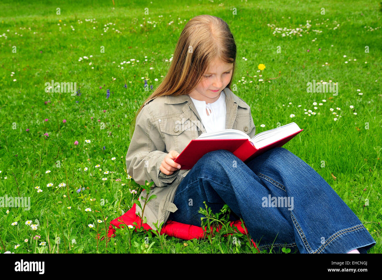 Child Reading Book Stock Photo Alamy child-reading-book-stock-photo-alamy