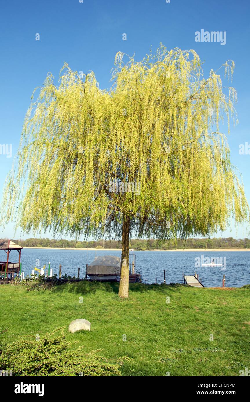 Werder , germany landscape Stock Photo - Alamy