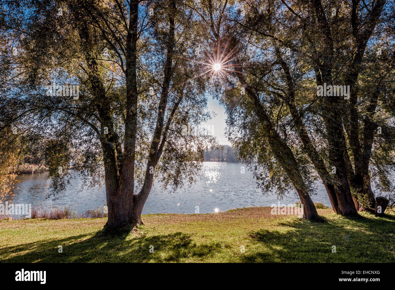 Water trough pond hi-res stock photography and images - Alamy