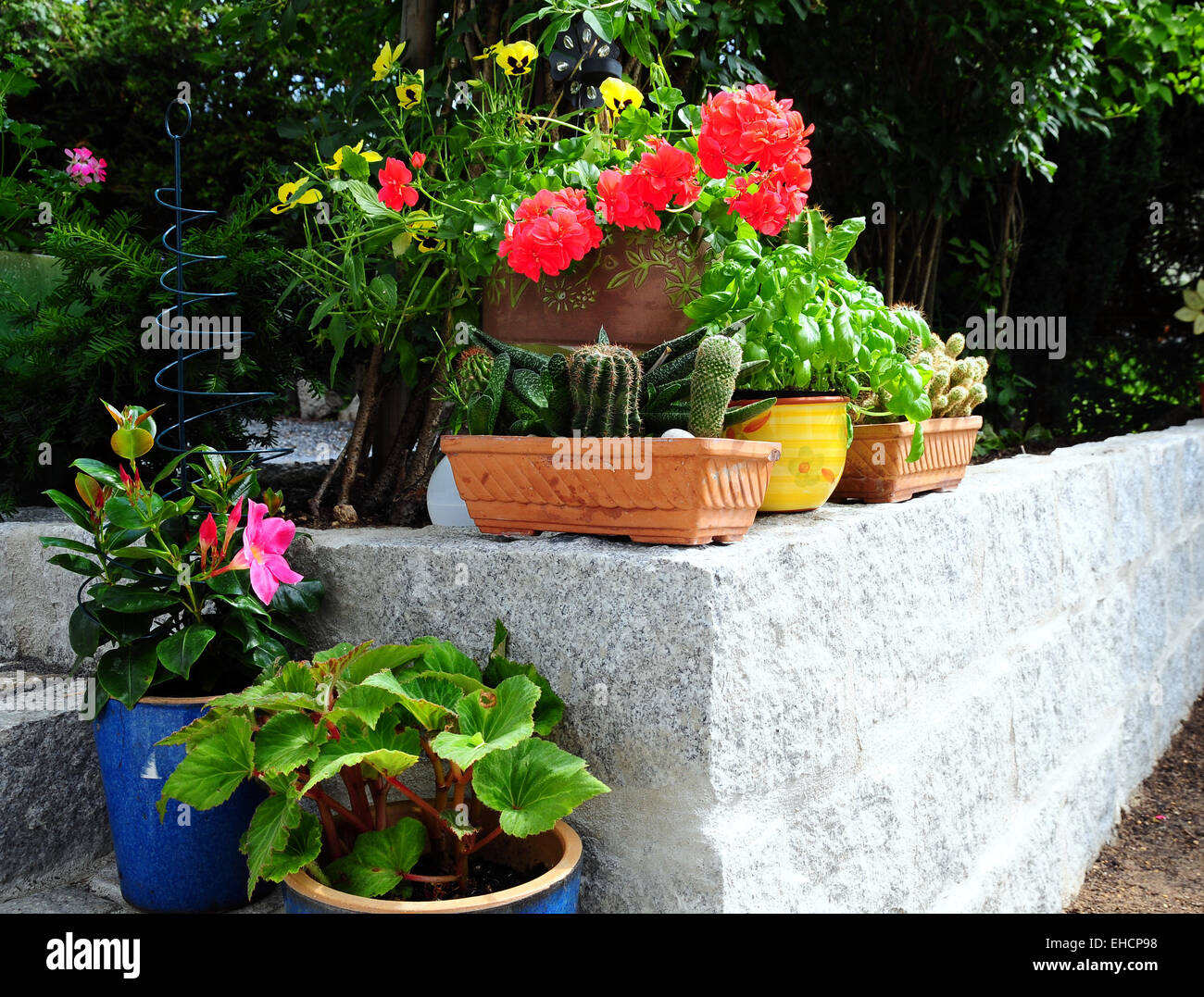 Plants Garden Planters Stock Photo - Alamy