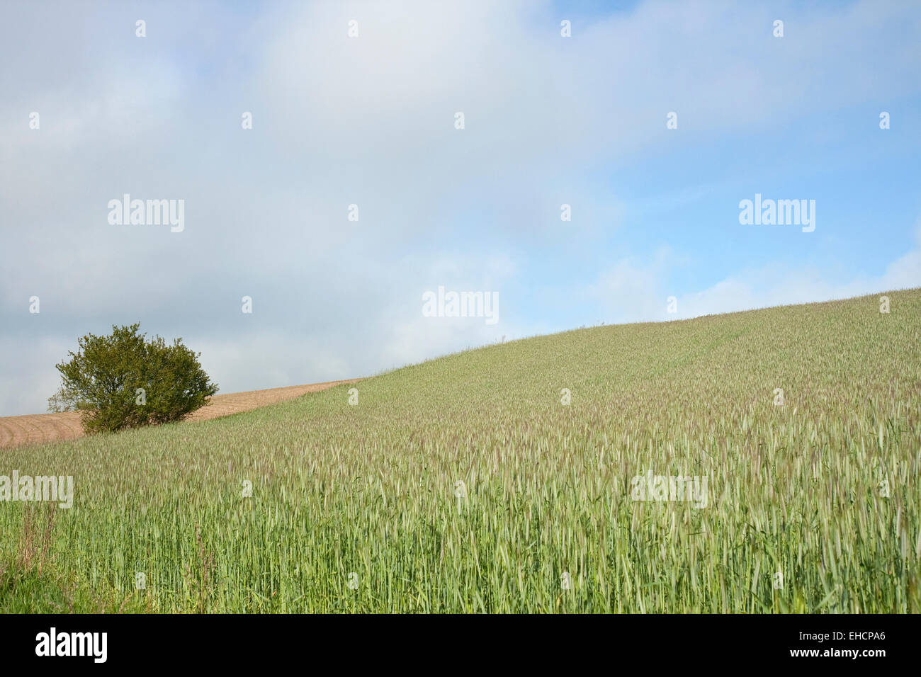 Djursland denmark hi-res stock photography and images - Alamy