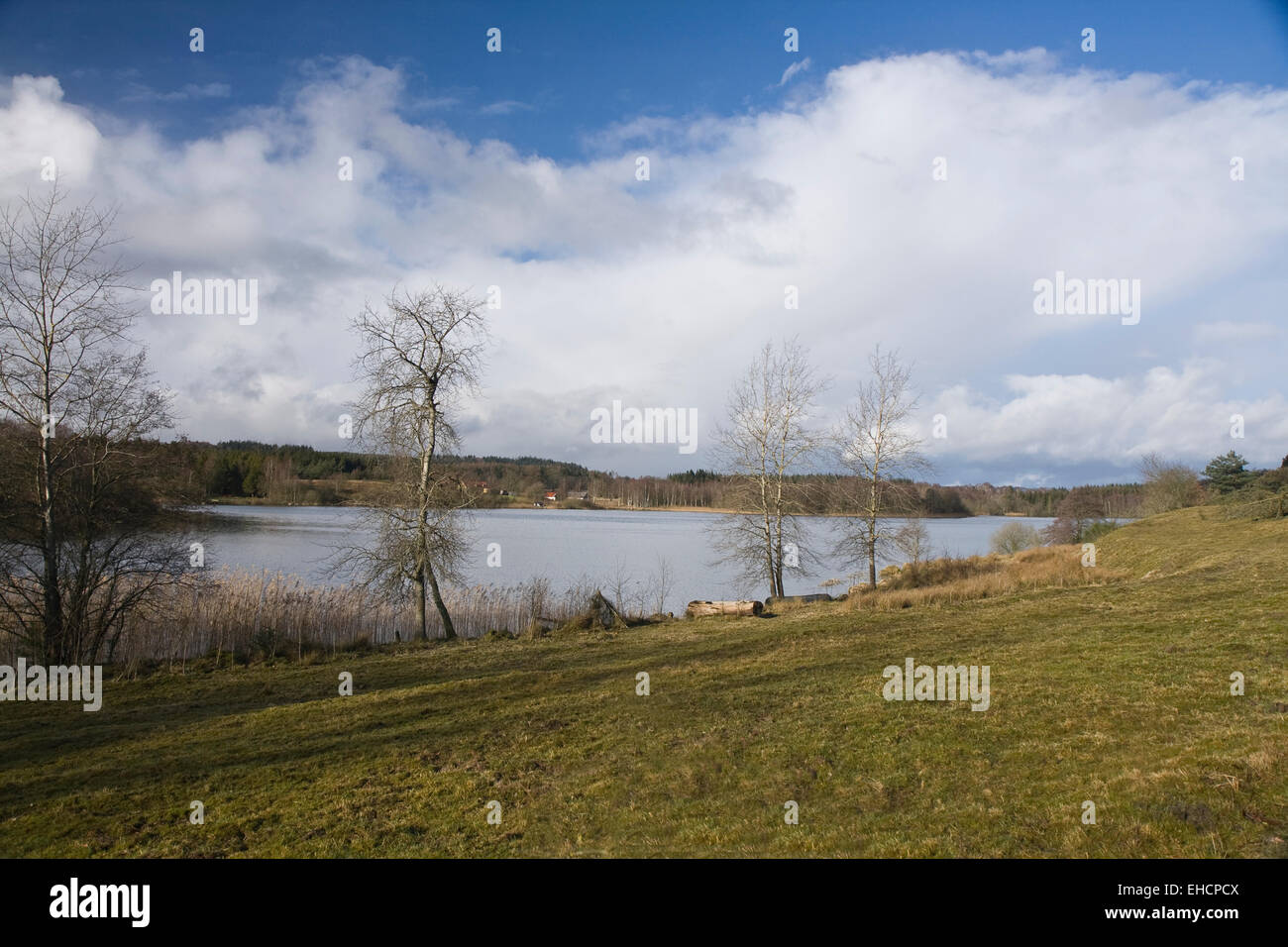 Small lake with blue sky near Ry, Denmark Stock Photo - Alamy