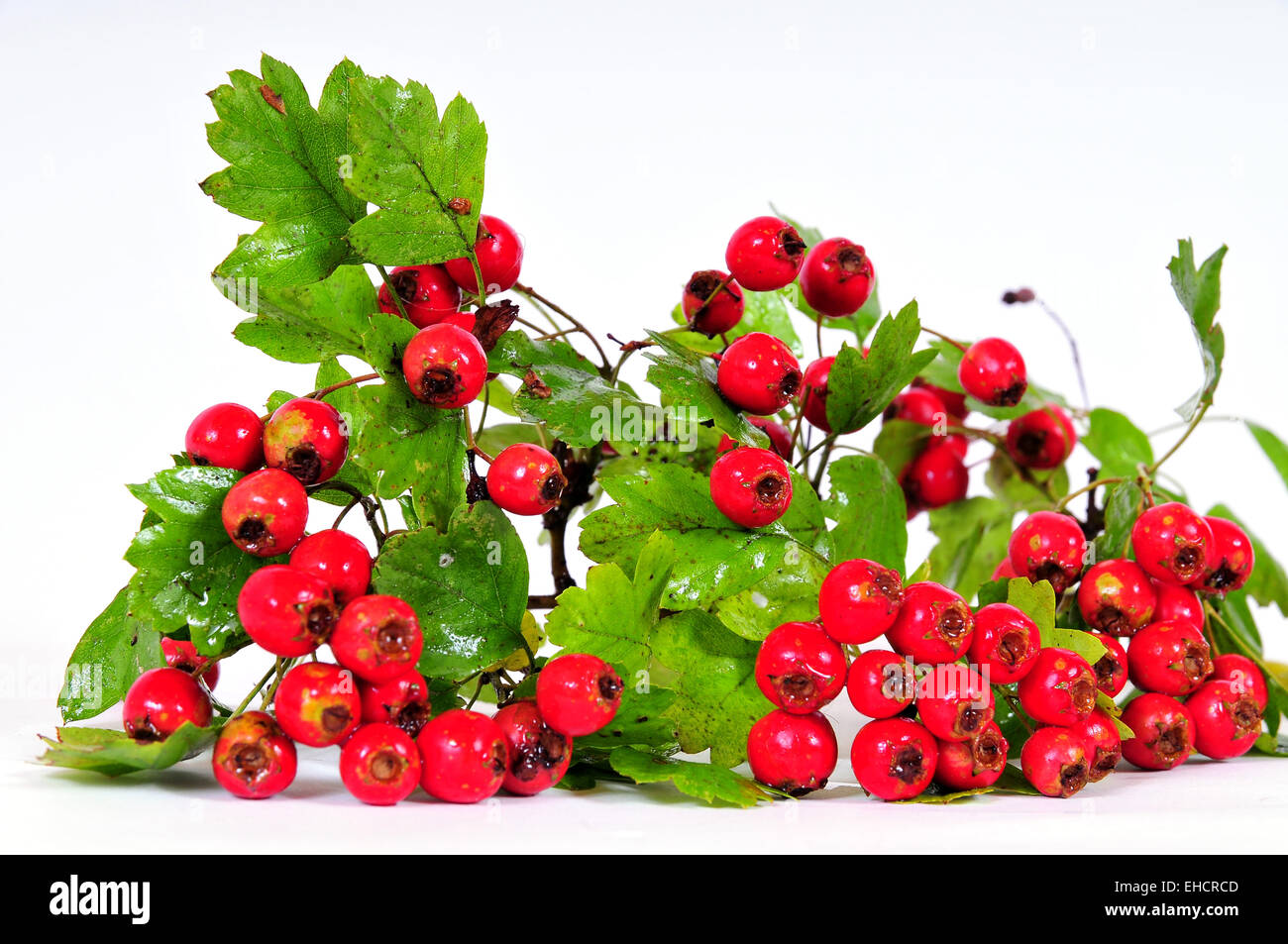 Beeren herz hi-res stock photography and images - Alamy