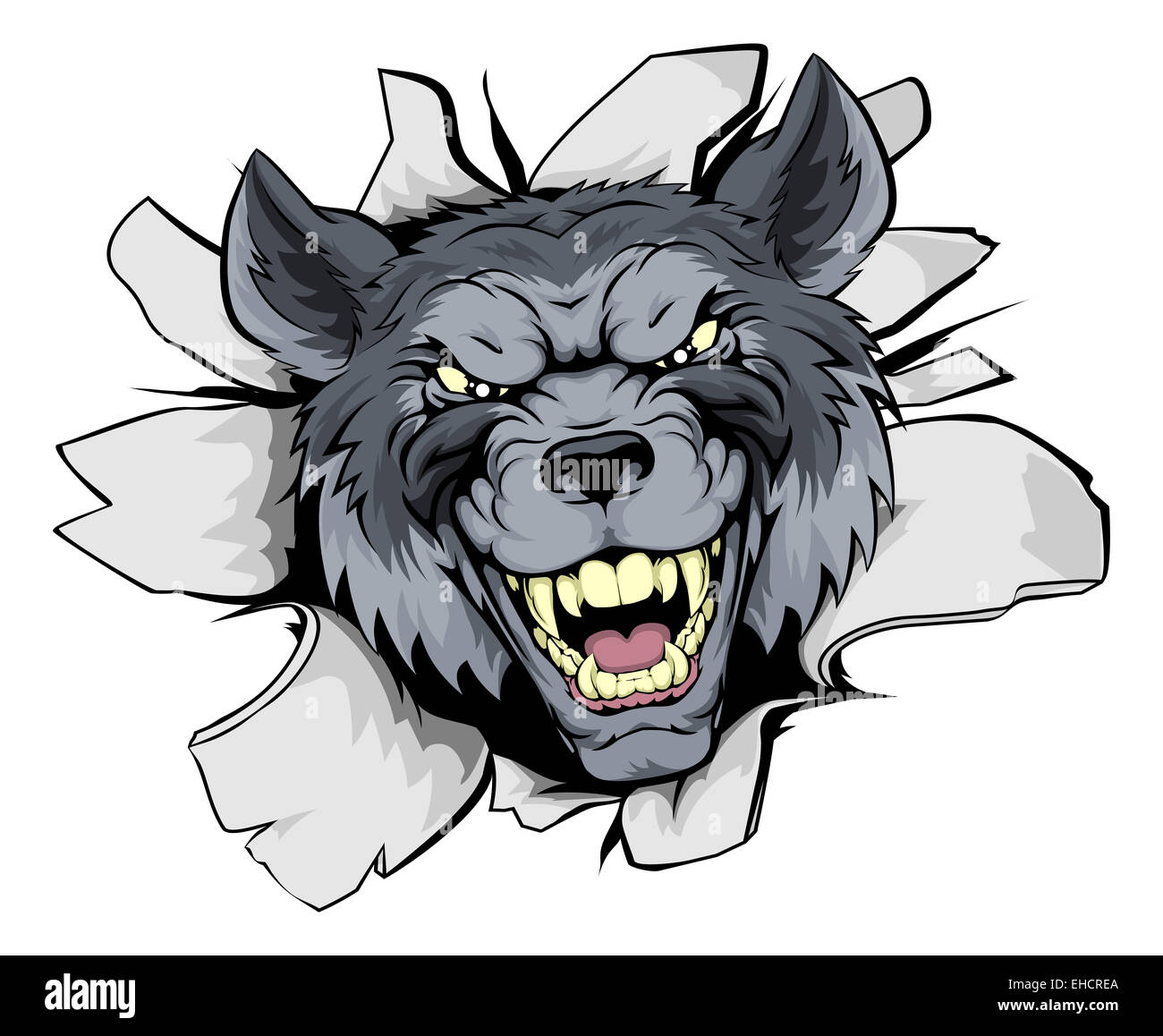 A mean looking wolf mascot character breaking out through a wall Stock ...