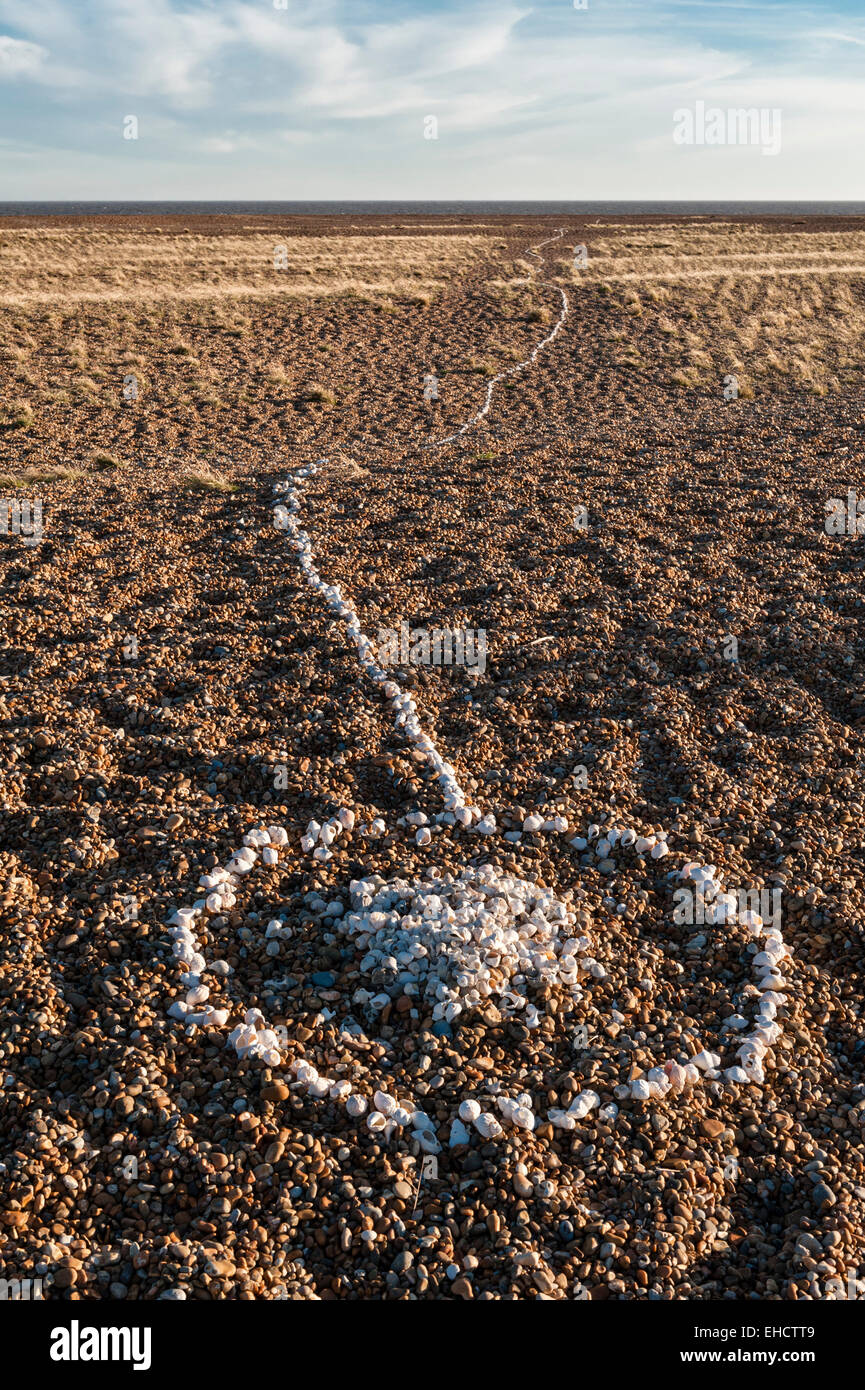 From shells hi-res stock photography and images - Alamy