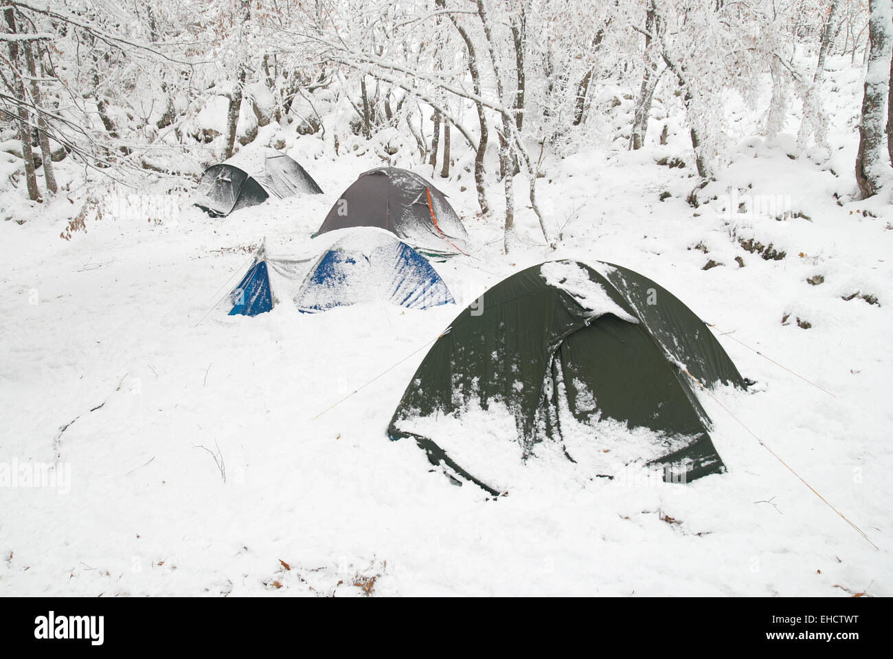 Winter tent camp in the snow forest Stock Photo - Alamy