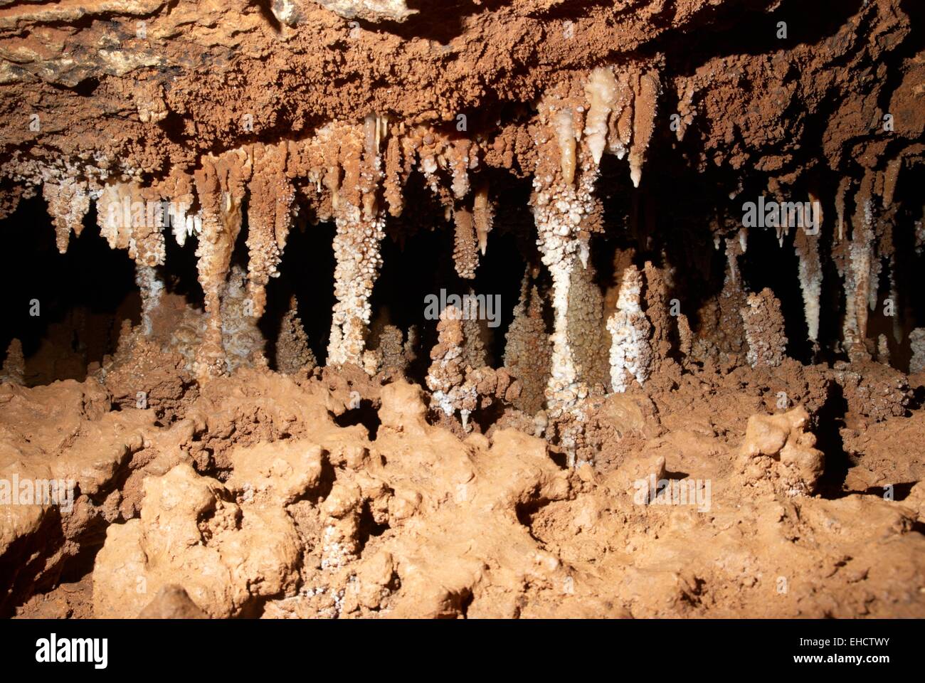 Stalactites in the cave with beautiful nature decoration Stock Photo ...